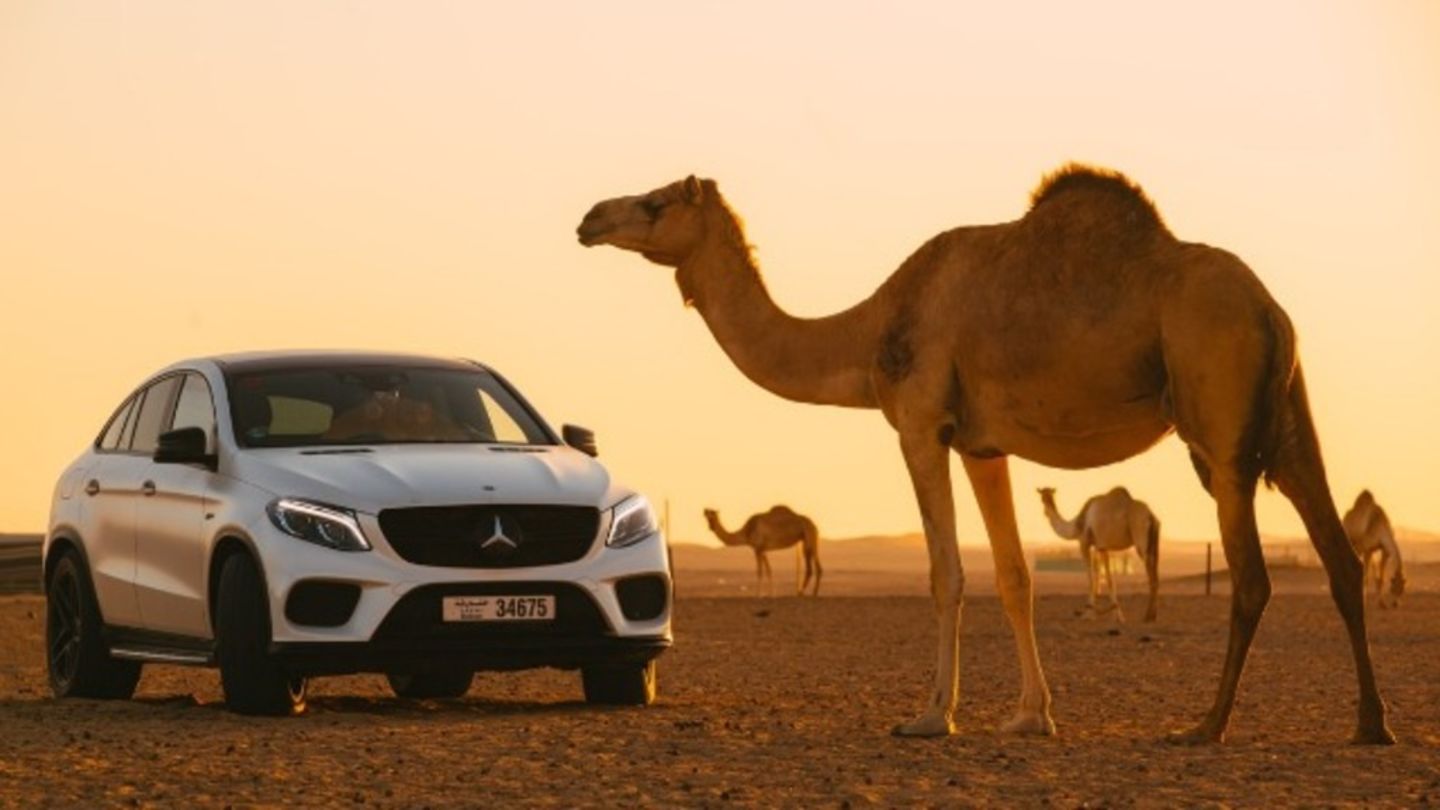 Al Tomoh Aliyah Tourism(Local Tours & Activities) in Al Rigga, Dubai ...