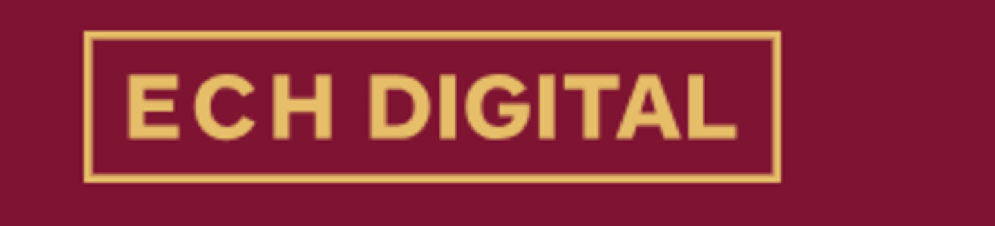 Ech Digital(Business Setup And PROs) in The Palm Deira, Dubai - HiDubai