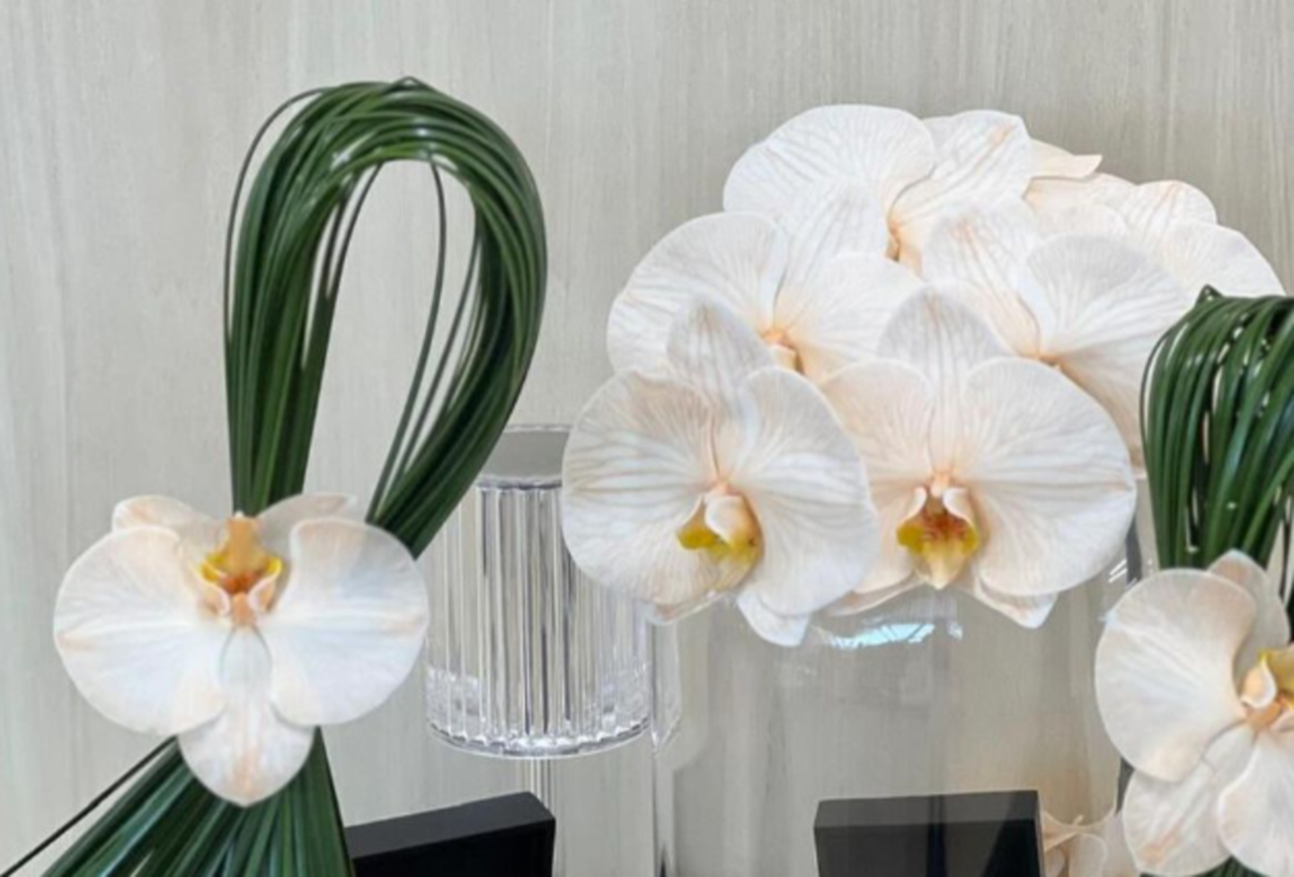 Flowers Factory(Plants & Gardening Stores) in Al Barsha 3, Dubai - HiDubai