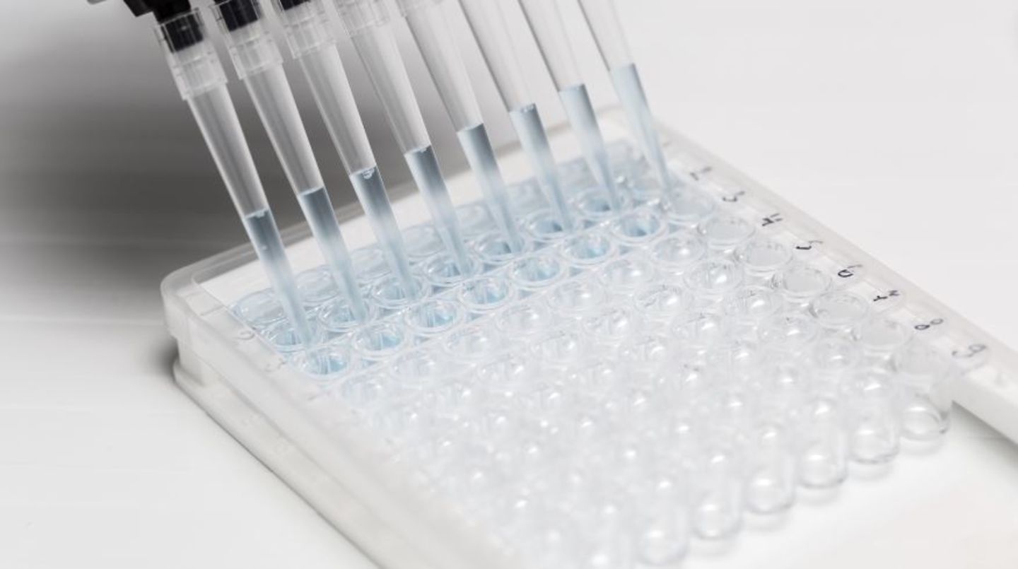 Scientific Analytical Tools Trading(Distributors & Wholesalers) in Ras ...