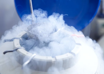 Modern Ice Factory(Distributors & Wholesalers) in Al Quoz Industrial 3 ...