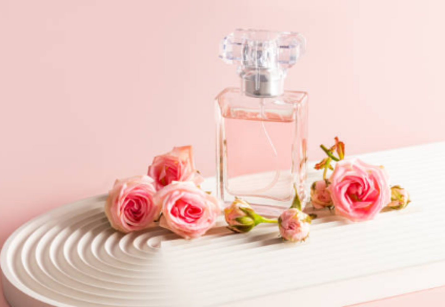 Al Fakhar Perfumes And Cosmetics Trading(Beauty & Cosmetics Stores) in ...