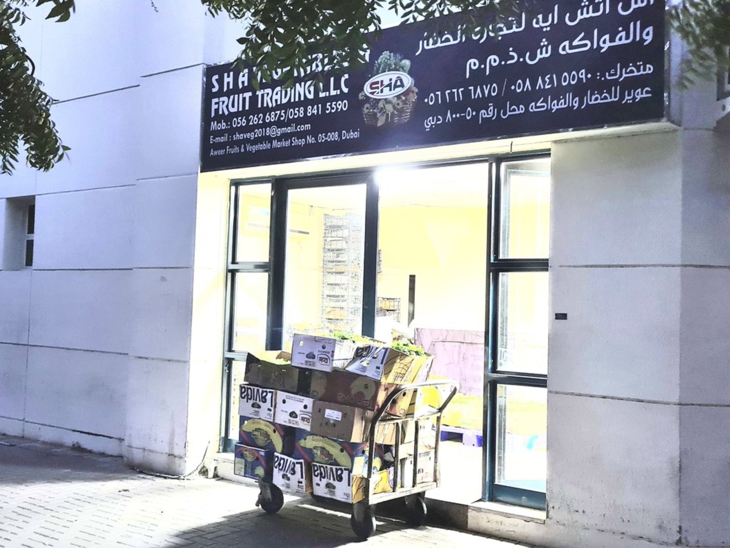 S H A Vegetables And Fruit Trading(Food Stuff Trading) in Ras Al Khor ...