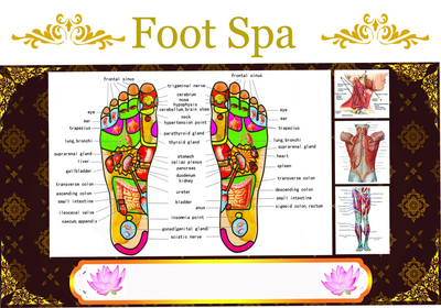 Thai Healing Foot(Wellness Services & Spas) in Al Barsha 1, Dubai - HiDubai