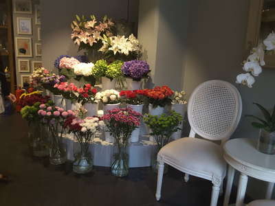 Mayflower(Furniture & Décor) in Dubai Marina (Marsa Dubai), Dubai - HiDubai