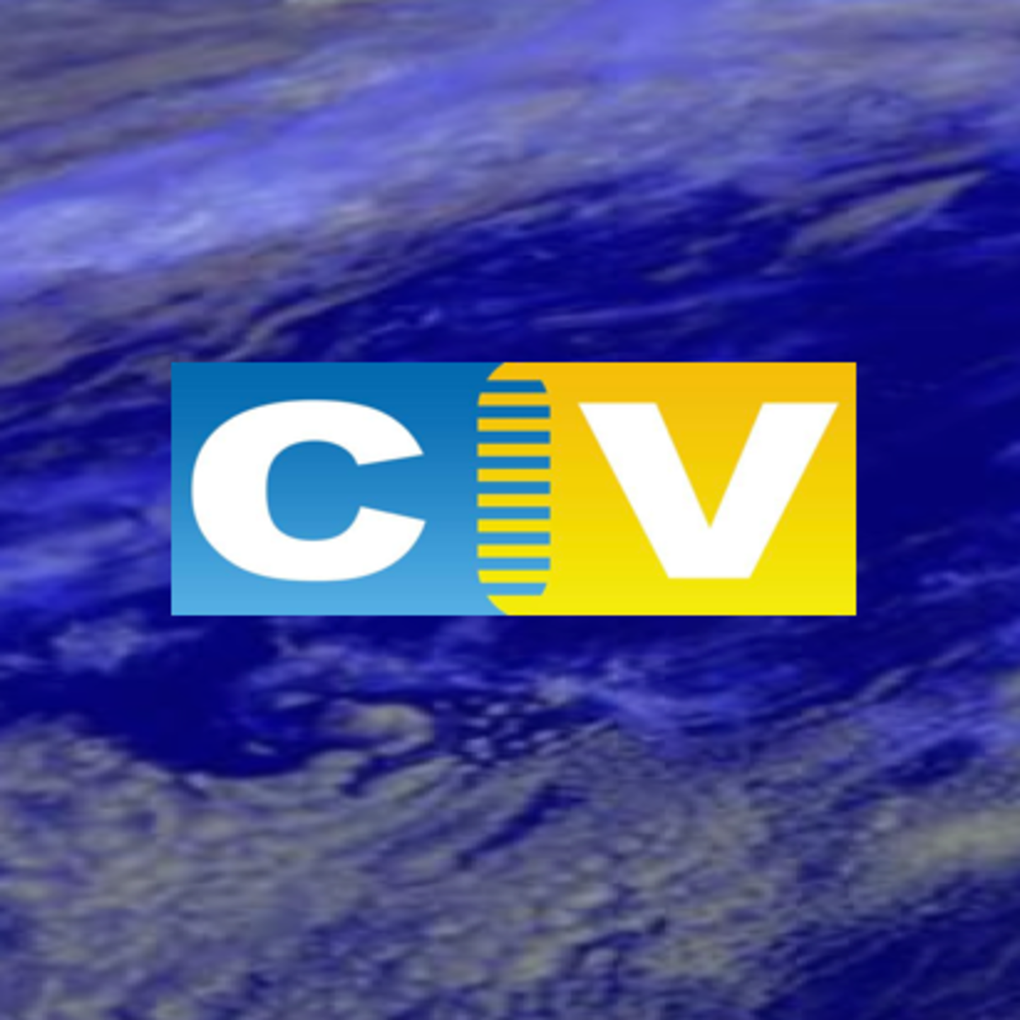 Cvit Dynamic Int Services(Shipping) in Business Bay, Dubai - HiDubai