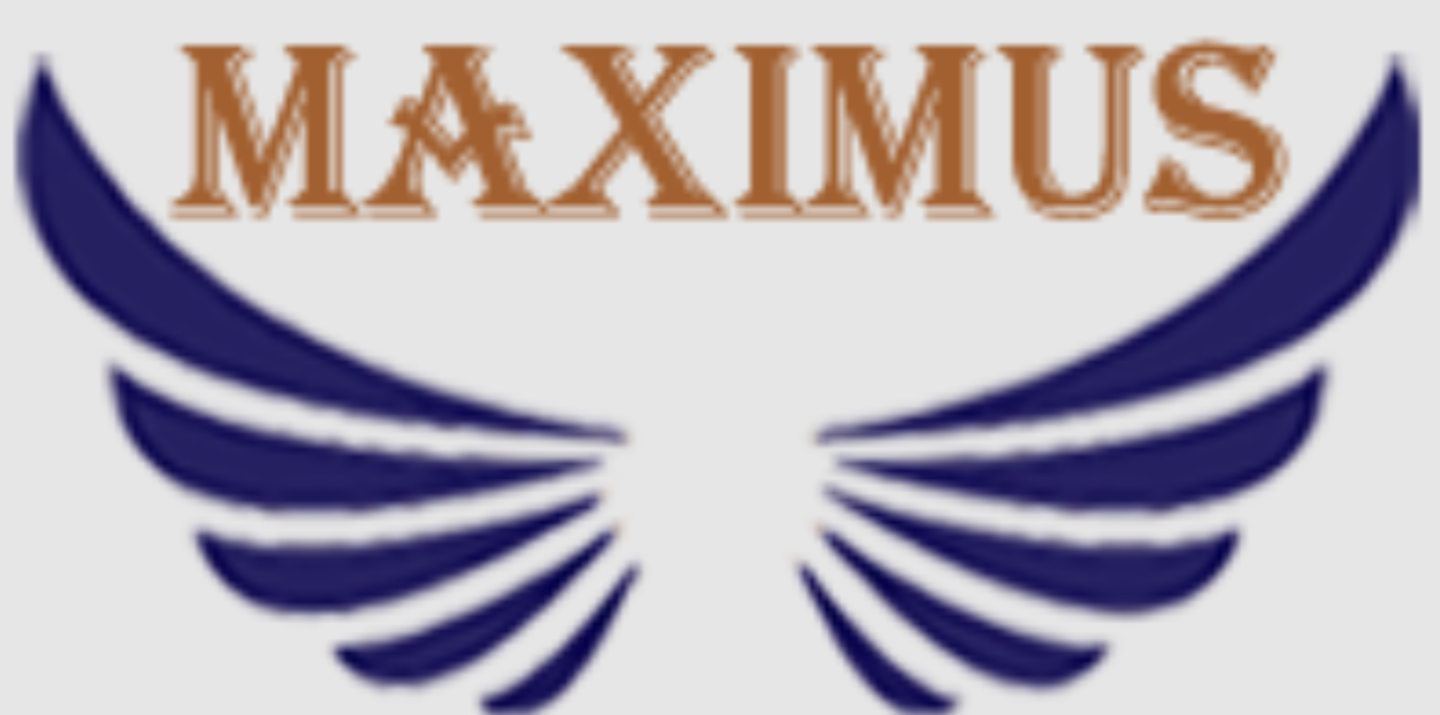 Maximus Business Solutions(Accounting Services) in Al Karama, Dubai ...