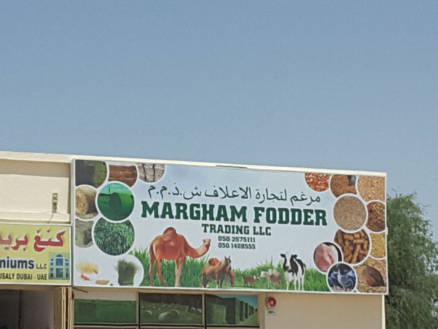 Margham Fodder Trading(Food Stuff Trading) in Umm Al Mo'meneen, Dubai ...