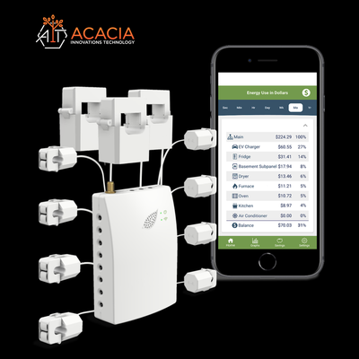 Acacia Innovations Technology(Management Consultants) in Dubai Silicon ...