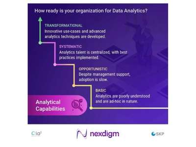 Nexdigm Consulting Limited(Management Consultants) in Dubai ...
