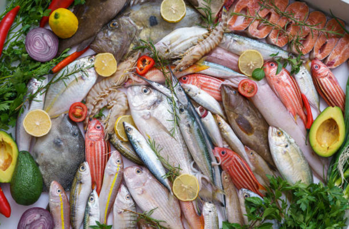 Mohd Saif Belmainoon Fish Selling(Distributors & Wholesalers) in ...