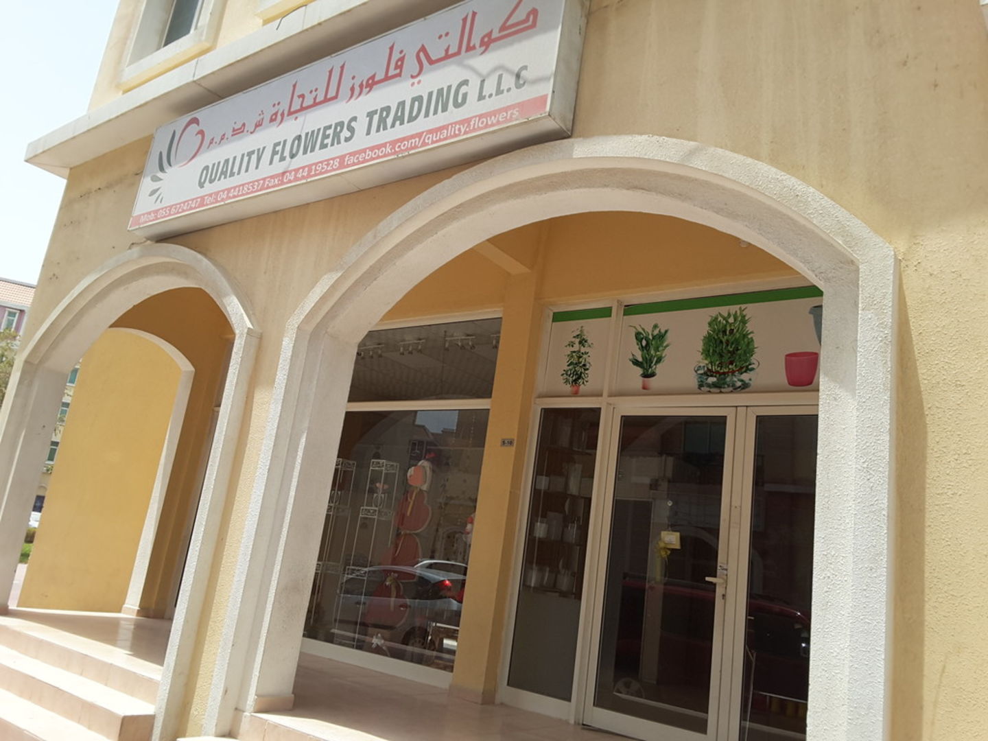 Quality Flowers Trading(Distributors & Wholesalers) in International City (Warsan 1), Dubai ...