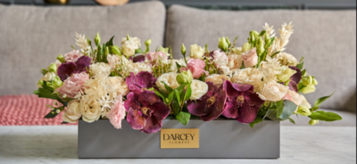 Darcey Flowers Trading(Plants & Gardening Stores) in Al Wasl, Dubai ...
