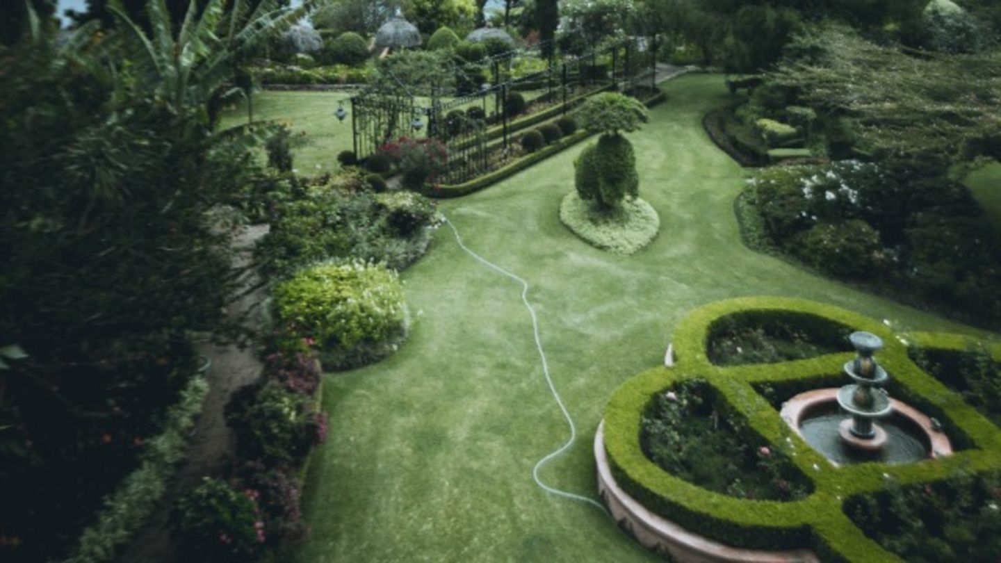 Adil Sher Landscaping(Gardening & Landscaping) in International City ...