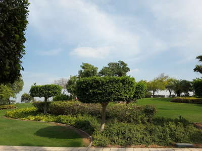 Zabeel Park(Parks & Beaches) in Zabeel Park (Al Kifaf), Dubai - HiDubai