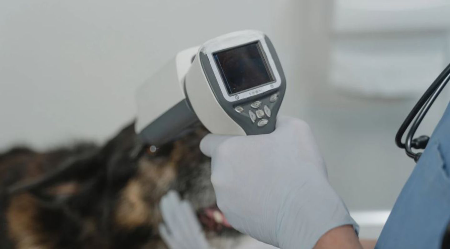 Nova Vet Medical Equipment Rental(Distributors & Wholesalers) in Al ...