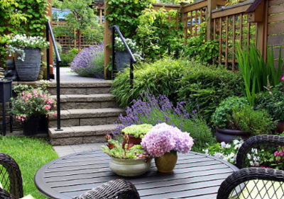 Your Garden Gardeners(Plants & Gardening Stores) in Warsan 3, Dubai - HiDubai