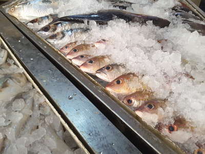 Nour Al Huda Fish Trading(Supermarkets, Hypermarkets & Grocery Stores ...