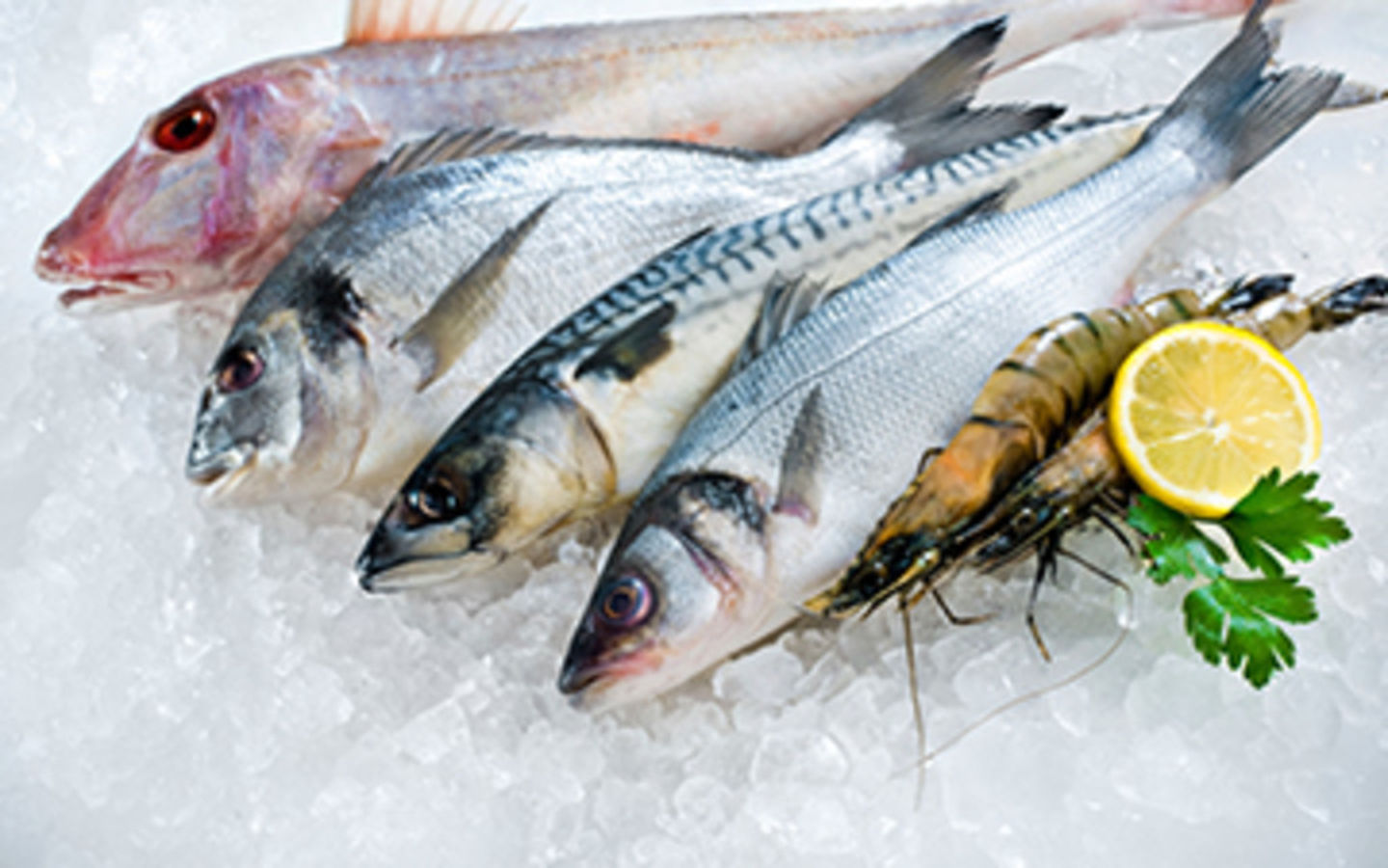 Sea Moon Fish Trading(Food Stuff Trading) in Hor Al Anz, Dubai - HiDubai