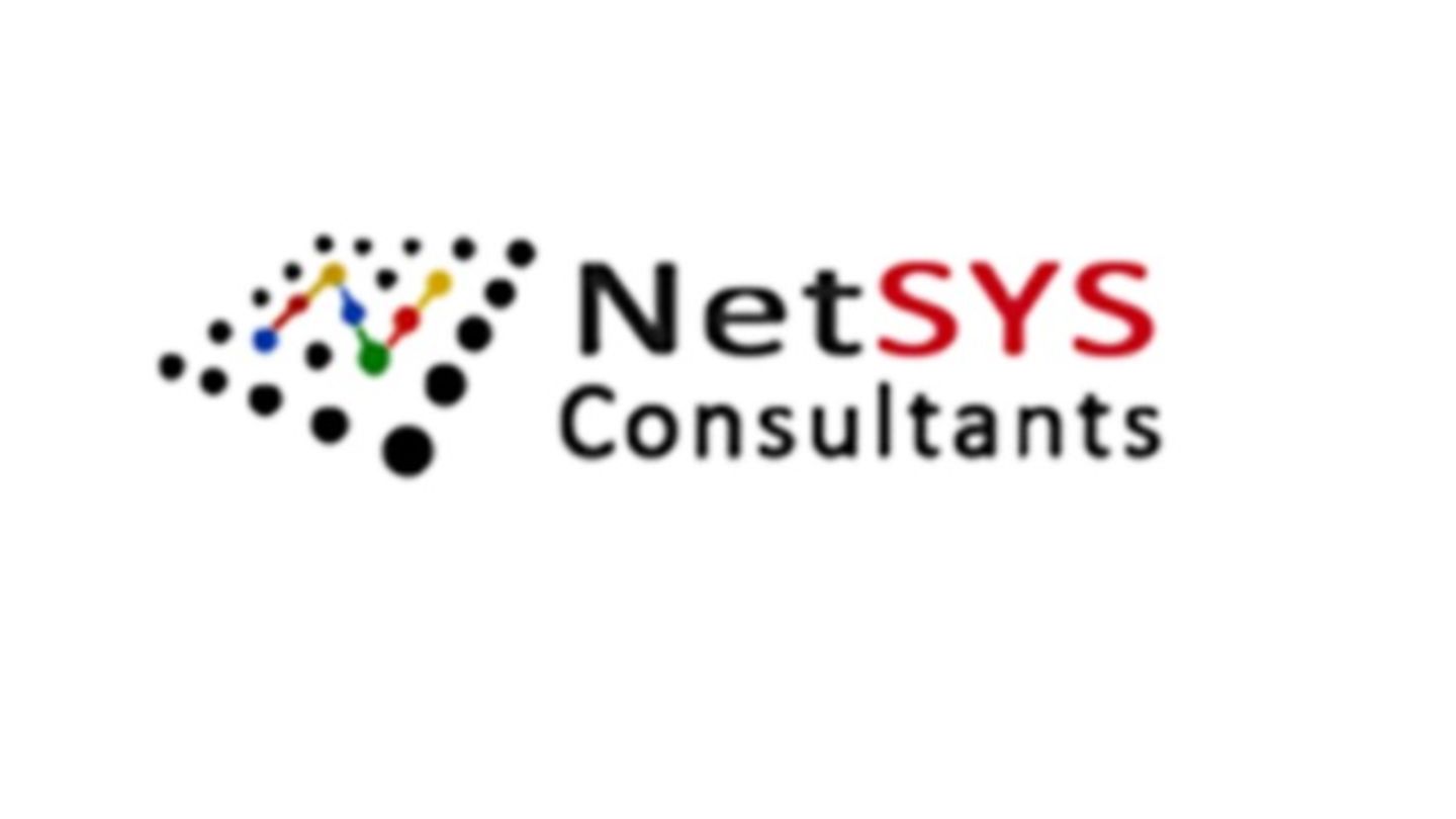 NetSYS Consultants(IT Services) in Al Garhoud, Dubai - HiDubai