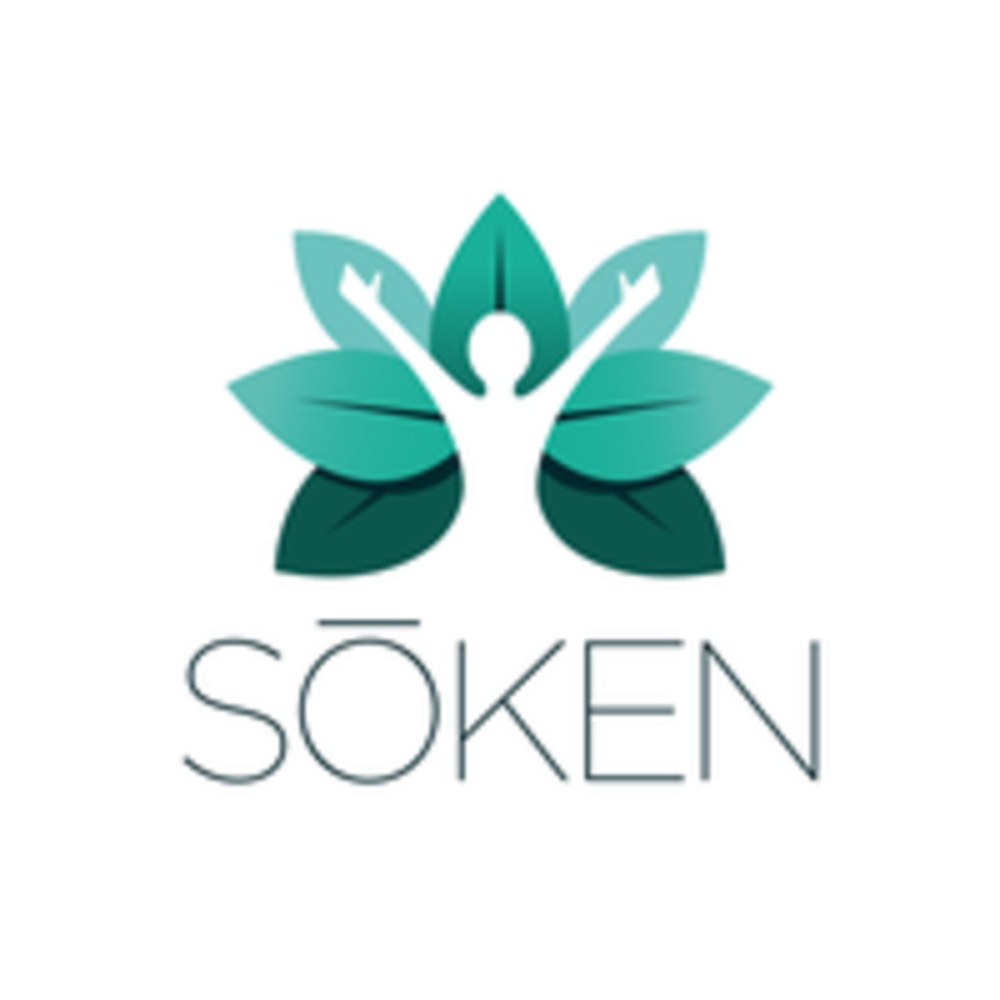 Soken(Saas) in Business Bay, Dubai - HiDubai