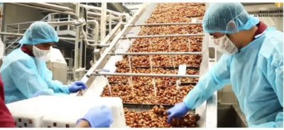 Al Barakah Dates Factory(Food Stuff Trading) in Dubai Industrial City ...