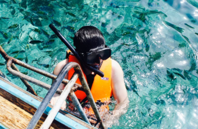 Luxury Sail(Distributors & Wholesalers) in Jebel Ali Industrial 2 ...