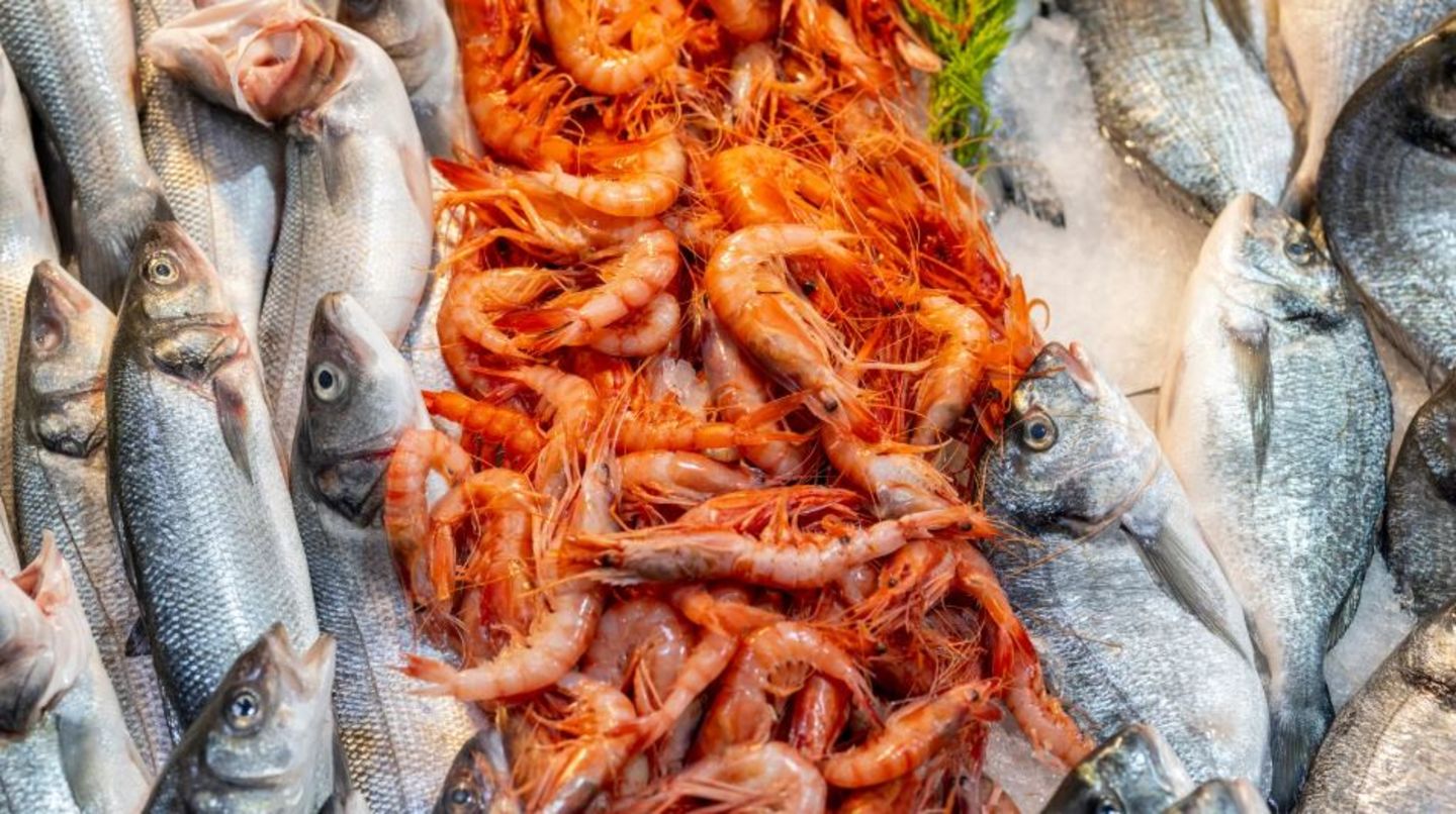 Burum Fish Trading(Food Stuff Trading) in Al Qusais Industrial 1, Dubai ...