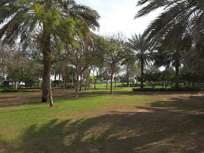 Zabeel Park(Parks & Beaches) in Zabeel Park (Al Kifaf), Dubai - HiDubai