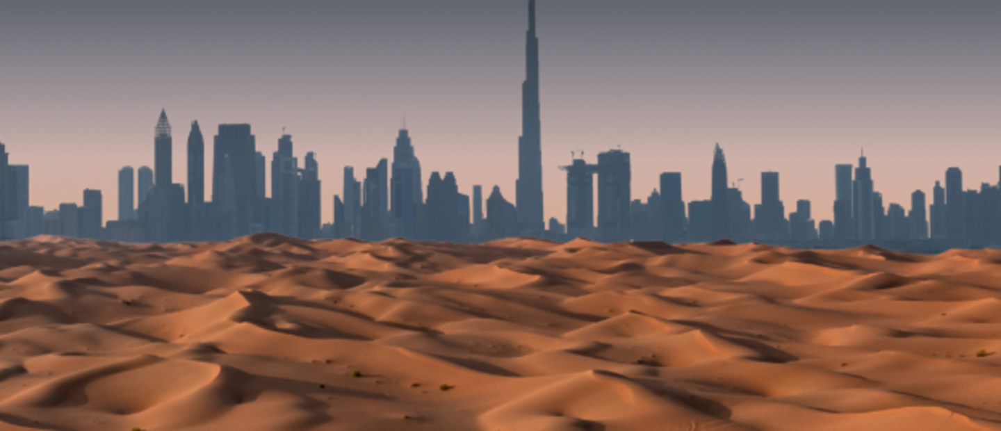 Trip STN(Travel & Ticketing Agencies) in International City (Warsan 1 ...