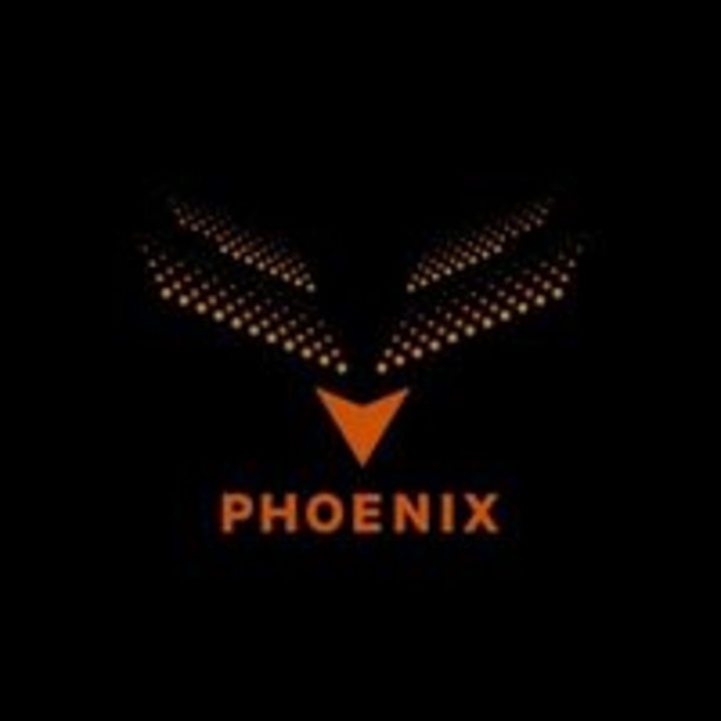 Phoenix Group(Financial Consultants) in Downtown Dubai, Dubai - HiDubai