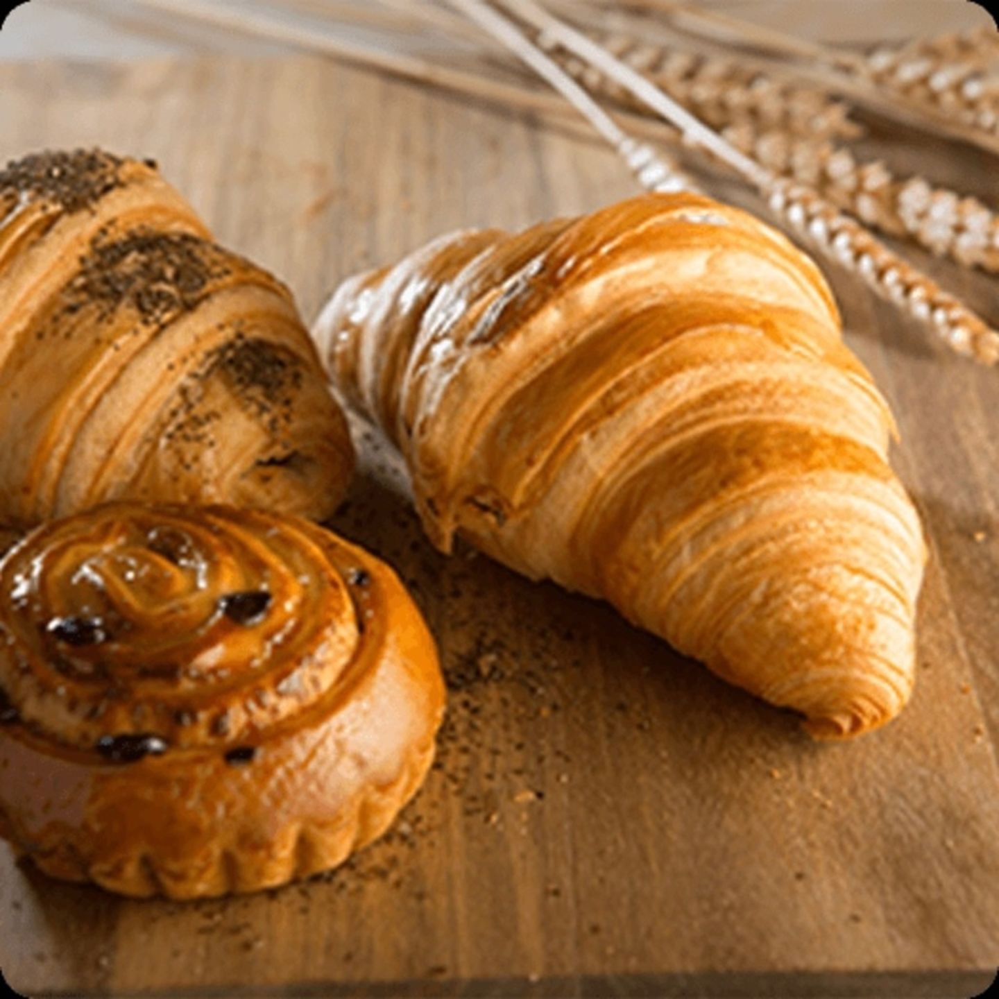Katrina Store(Bakeries, Desserts & Sweets) in Al Jadaf, Dubai - HiDubai