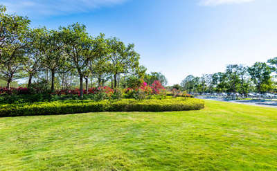 Cactus Park(Parks & Beaches) in Al Jadaf, Dubai - HiDubai