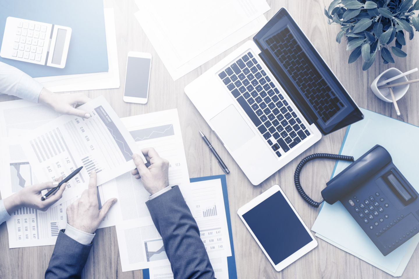 International Network Businessmen Service(Business Setup And PROs) in ...