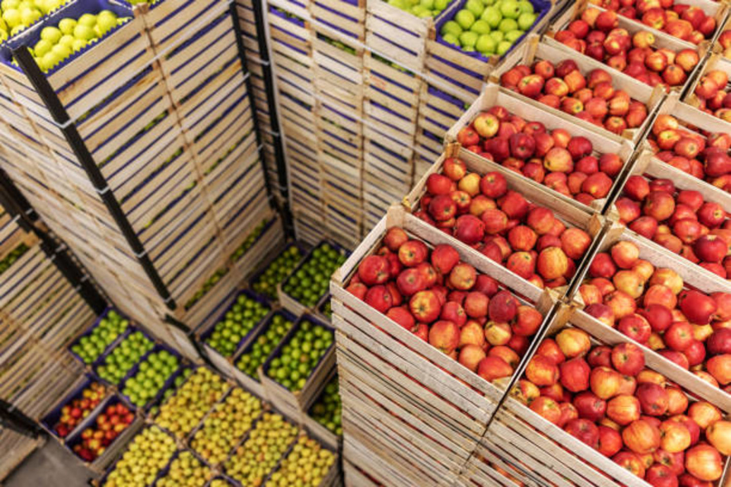 Letorvan Foodstuff Trading(Food Stuff Trading) in Al Muraqqabat, Dubai ...