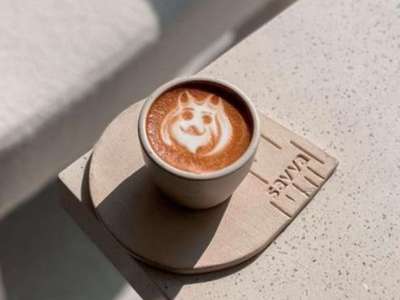 Savva Cafe(Coffee Shops) in Jumeirah 2, Dubai - HiDubai