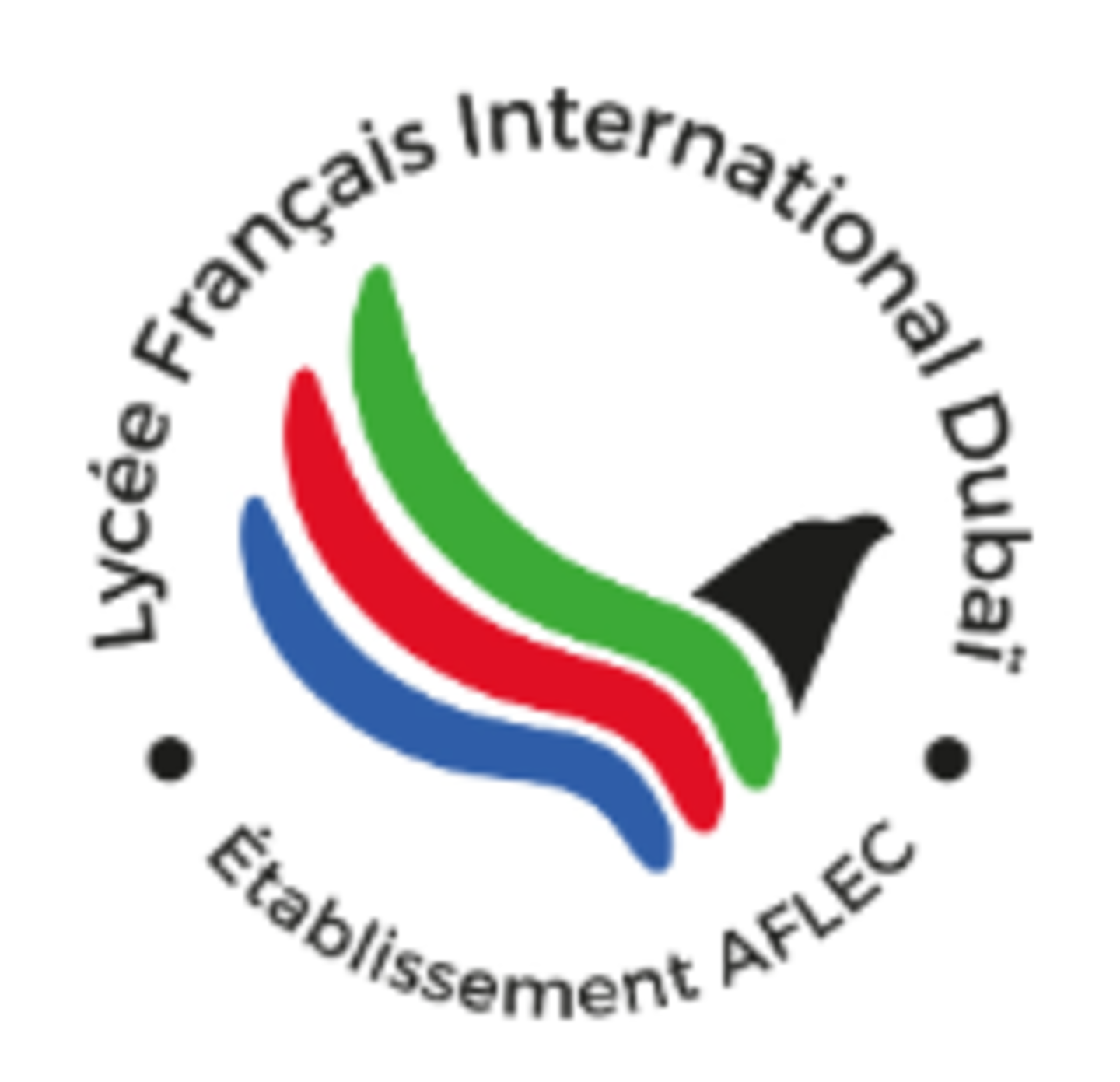 Lycee Francais International(Schools) in Oud Metha, Dubai - HiDubai