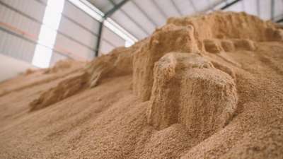 List, Soybean Meal (SBM)