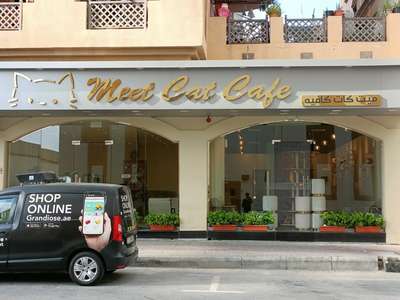 Meet Cat Cafe(Cafeterias) in Al Barsha 1, Dubai - HiDubai