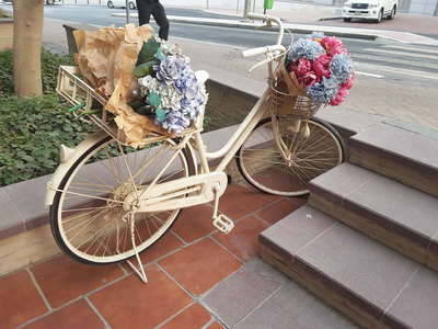 Mayflower(Furniture & Décor) in Dubai Marina (Marsa Dubai), Dubai - HiDubai