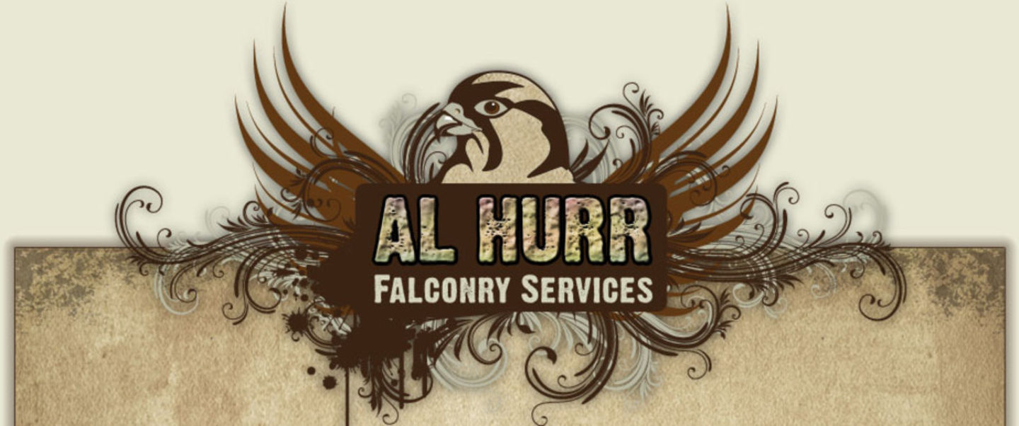 Al Hurr Falconry Services(Local Tours & Activities) in Al Murar, Dubai ...