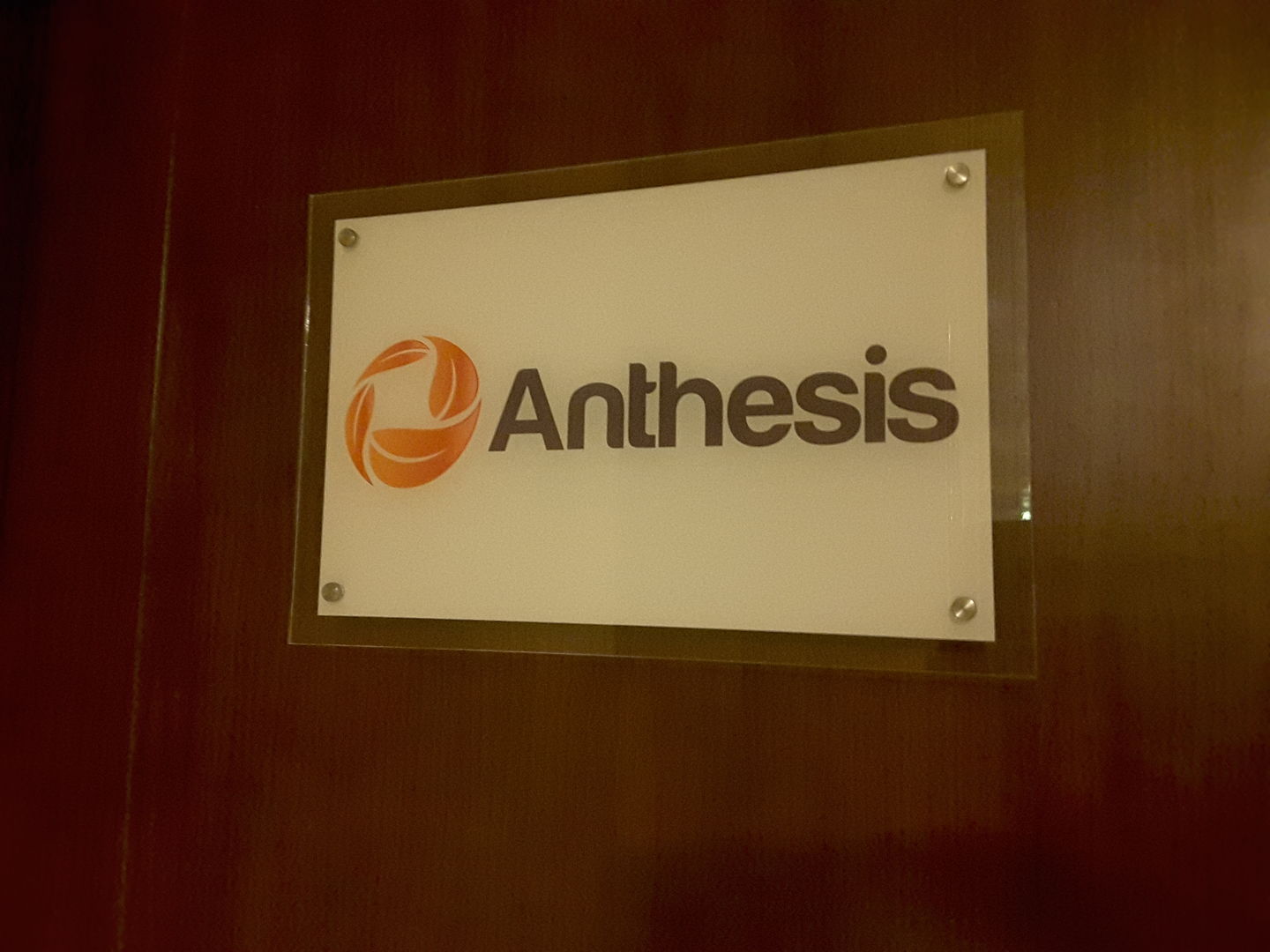 Anthesis(Business Consultation Services) in Business Bay, Dubai - HiDubai