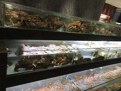 Long Teng Seafood Restaurant(Restaurants & Bars) in Business Bay, Dubai ...