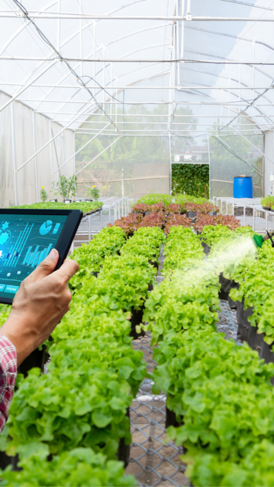 Fast Link Accurate Testing Lab(Agritech) in Al Qusais Industrial 4 ...