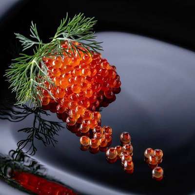 Caviar Heritage Wild North Fish General Trading(Food Stuff Trading) in ...