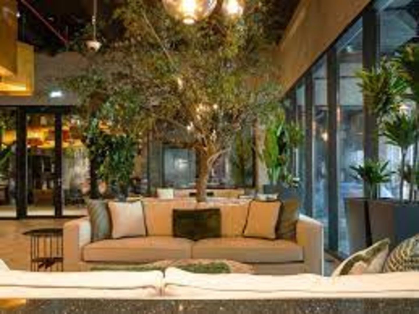 Quince(Restaurants & Bars) in Al Barsha 2, Dubai - HiDubai